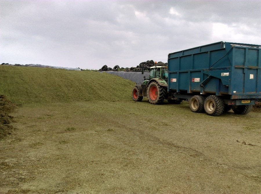 SCN Silage Project- Untreated vs Treated… – SC Nutrition Ltd